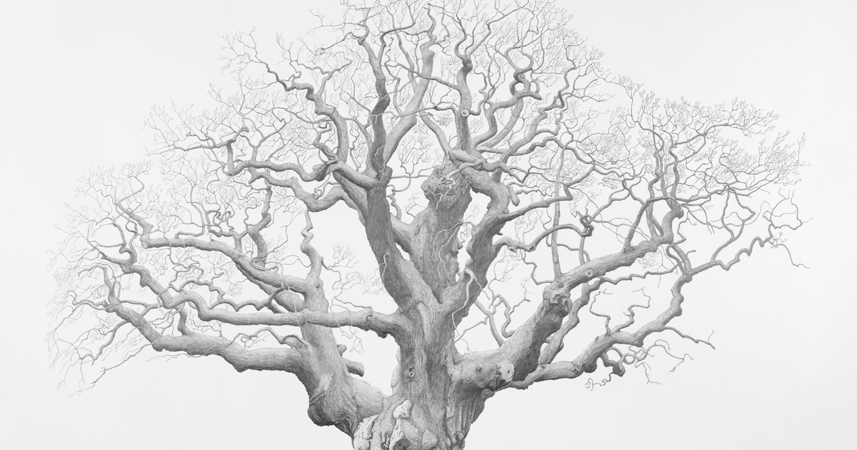Mark Frith - News | The Tree Art Gallery