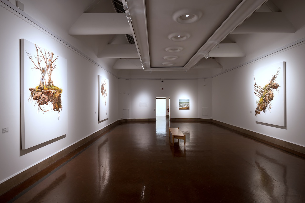 Julian Perry - Biography | The Tree Art Gallery